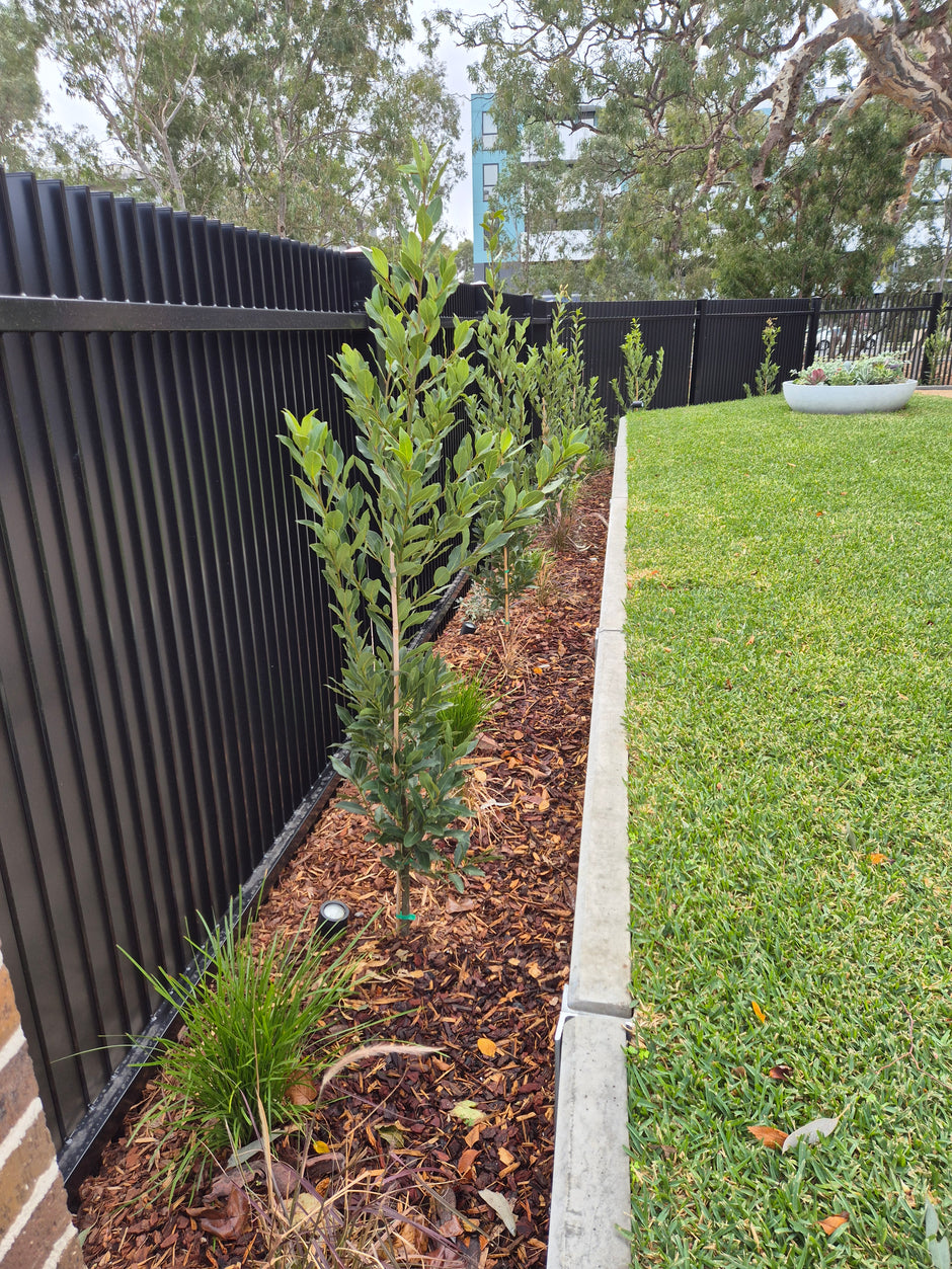 Aluminium Fin Blade Fencing | National Fencing Australia